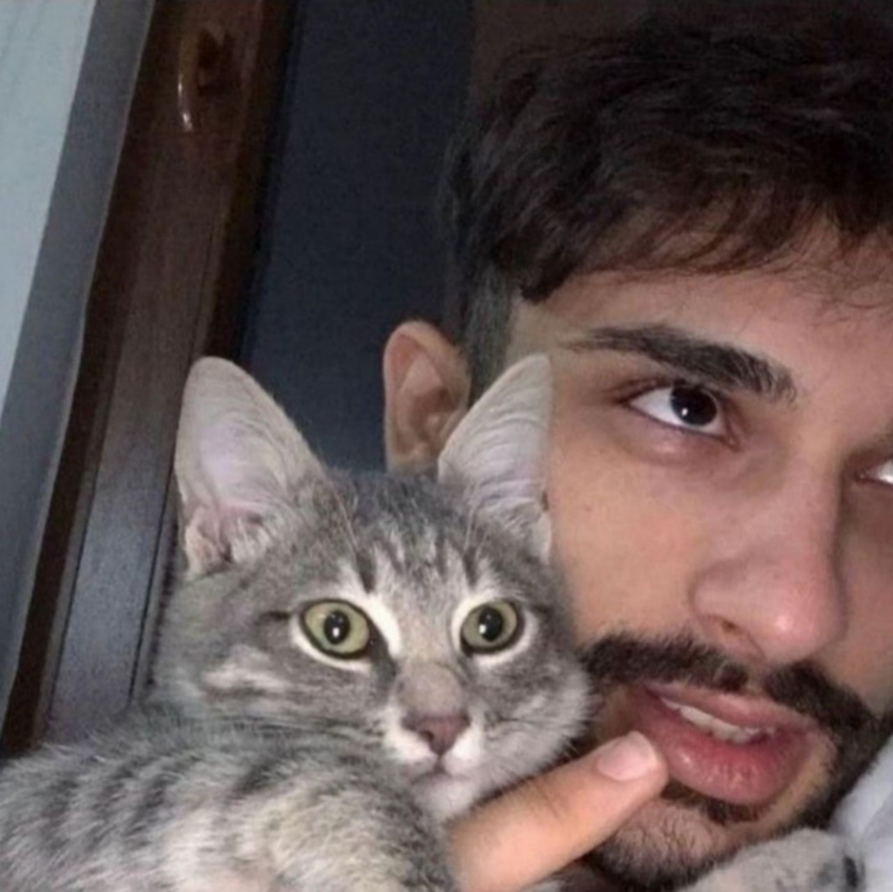 MshMsh's Streamer Profile | Spoon