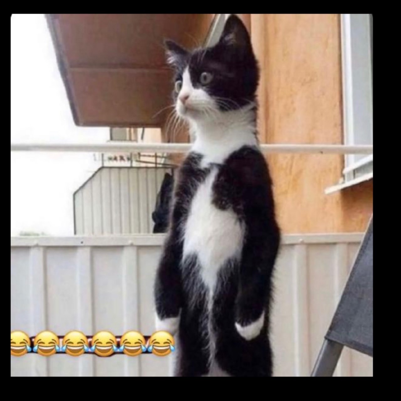 قطو🐈‍⬛(@8yk3lm10)'s Streamer Profile | Spoon